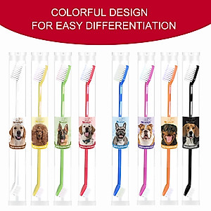 Ninieleph VibrantPet Toothbrush Set - 8-Pack with Dual-Head Design, Transparent Tube Packaging for Convenient Storage and Travel | Enhance Pet Dental Care