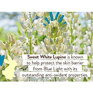 Babo Botanicals Daily Sheer Tinted Mineral Sunscreen Fluid SPF50 - Natural Zinc Oxide - Passion Fruit Oil - Golden-Hued Tint - Fragrance Free - Ultra-Lightweight - For Face - For all ages