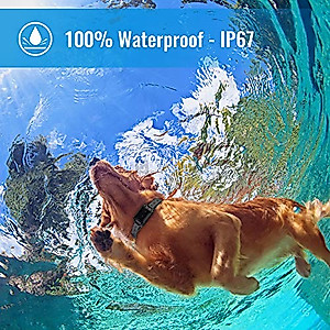 Petrainer Shock Collar for Dogs - Waterproof Rechargeable Dog Training E-Collar with 3 Safe Correction Remote Training Modes, Shock, Vibration, Beep for Dogs Small, Medium, Large