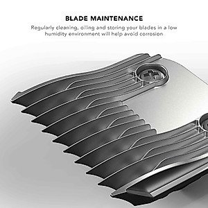 Wahl Standard Blade, 5in1 Cutting Lengths, 0.7 mm - 3 mm, Replacement Blades, Spare Clipper Blade, Clipper Spares, Stainless Steel, Chrome Plated, Rust Resistant, Precise Cutting