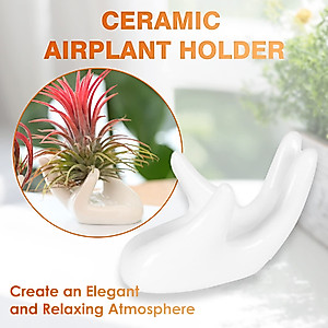 UAIAGM Hand-Shaped Air Plant Holder - Ceramic Mini Stand for Airplants - Decorative White Pot for Live Houseplants - Unique Desk, Table, Shelf Decor