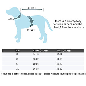 Spooktacular Creations Pet Dog Plush Skeleton Hoodie Costume for Halloween Dress Up Party, Pet Carnival, Outdoor Play (Small)