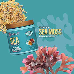 Mielle Organics Sea Moss Anti-Shedding Curl Pudding