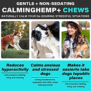 Frovetani Hemp Calming Chews for Dogs with Anxiety and Stress - 150 Soft Dog Calming Treats - Storms, Barking, Separation - Valerian Root - Melatonin, Dog Anxiety Relief (Duck, 150 Chews)