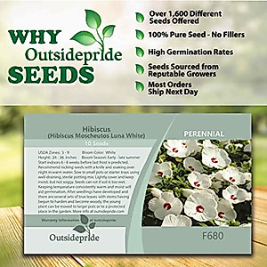 Outsidepride Hibiscus Luna White Garden Flower Seed & Foliage Container Plants - 10 Seeds