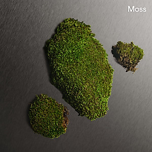 Calvin Klein Eternity Men's Deodorant Spray– With Notes of Mandarin, Sage, Cedarwood & Amber – 5.3 fl oz.