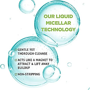 Carol's Daughter Wash Day Delight Sulfate Free Clarifying Shampoo and Deep Conditioner Gift Set with Aloe and Micellar - Best for Curly, Natural, and Textured Hair – Detangle and Moisturize