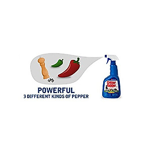 Havahart Critter Ridder 3145 Animal Repellent, Ready-to-Use Spray, 32-Ounce