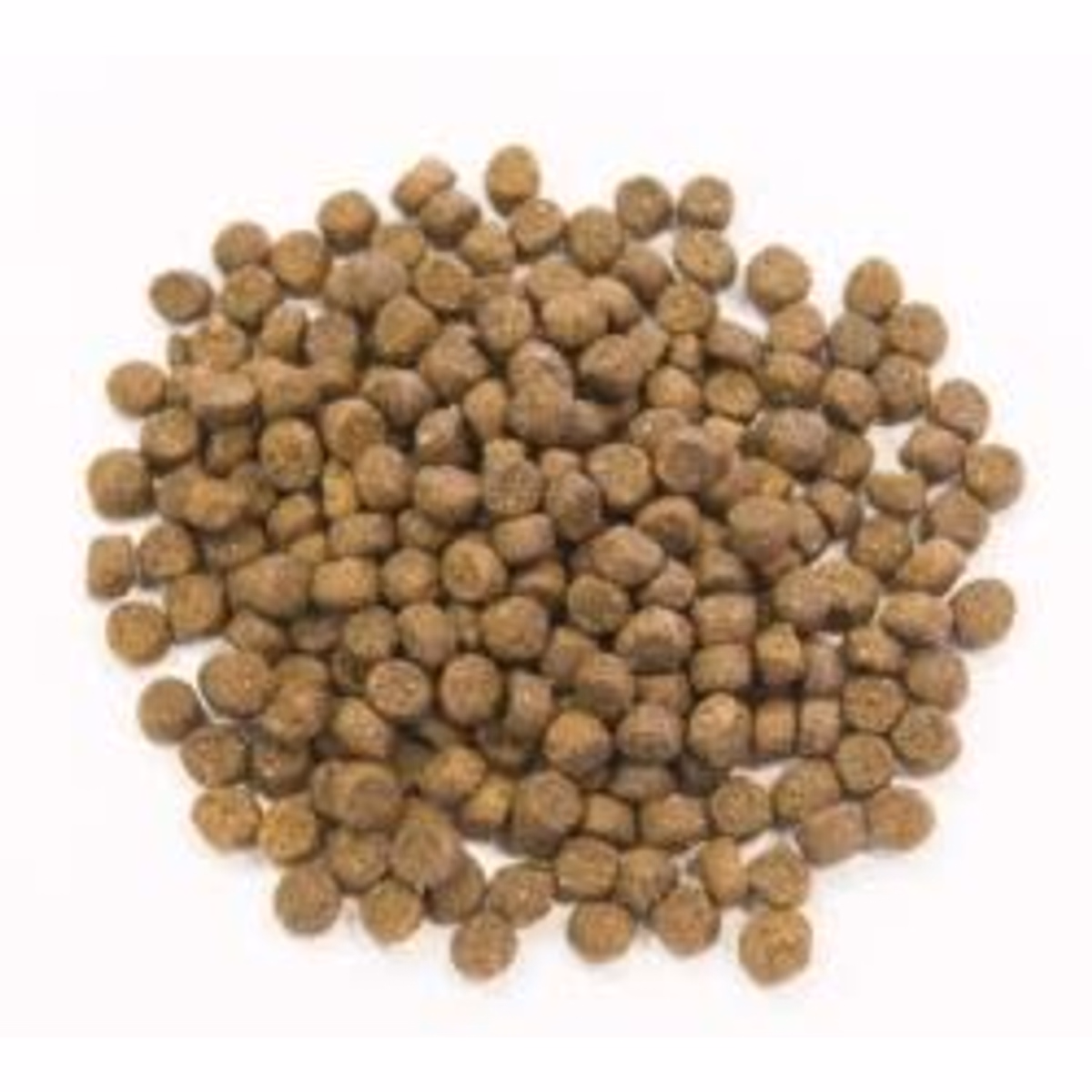 Muenster Grain Free with Salmon – Dry Dog Food or Mixer with Fish Protein - Complete and Balanced Kibble for Large, Medium or Small Breed Dogs, 4 lb