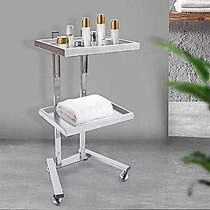 DNYSYSJ Beauty Salon Stand Rolling Cart, 2 Tier Spa Beauty Machine Holder Trolley, Salon Storage Trolley Stand, for Salons Studios Shops Medical Shops and Dentists