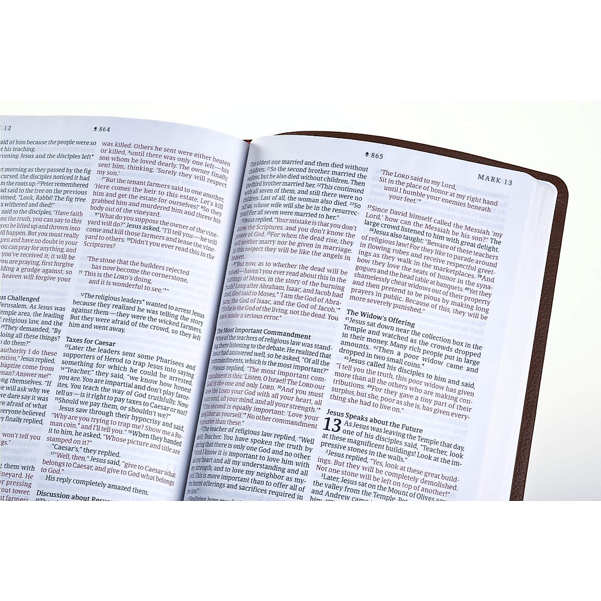 NLT Thinline Reference Bible, Filament Enabled (LeatherLike, Rustic Brown): Includes Free Access to the Filament Bible App Delivering Study Notes, Devotionals, Worship Music, and Video