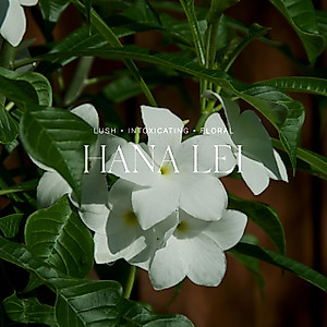 Antica Farmacista Hana Lei Reed Diffuser, 8.45 Fl Oz