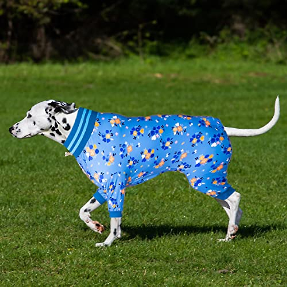 LovinPet Large Dog Pajamas, Base Layer Dog Pjs Under Dog Sweater, UV & Post Operative Protection High Collar Dog Jumpsuit, Stretchy Baby Bouquets Dusk Prints Large Dog Jammies XL