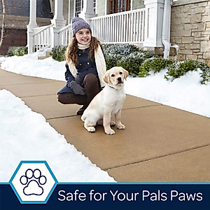 Morton Snow & Ice Melt, Safe for Pets, 8 Pound Jug