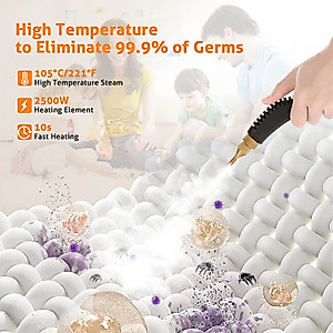 WICHEMI Steam Cleaner for Cleaning, 1800W High Pressure Steam Machine Handheld Steamer + 1800W High Temperature Floor Steam Mop Multipurpose Steam Cleaning Machine for Home Use Car Detailing