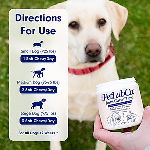 PetLab Co. Joint Care Chews - High Levels of Glucosamine for Dogs, Green Lipped Mussels, and Omega 3 - Dog Hip and Joint Supplement to Actively Support Mobility - Salmon