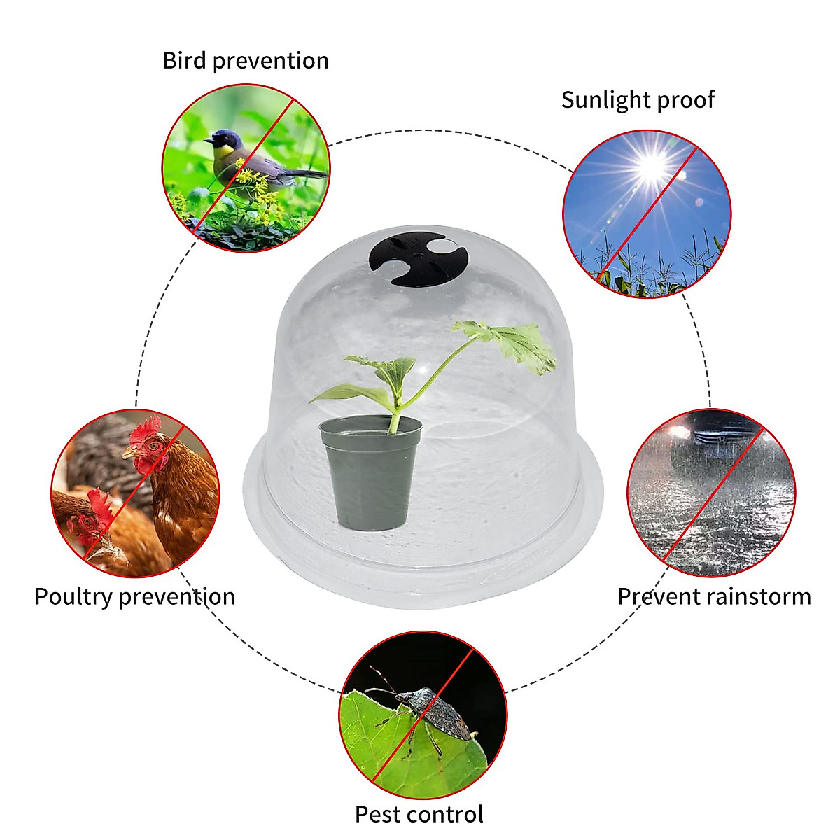 Baoz 6 Pack Garden Cloche Plant Bell Cover Humidity Dome Plant Protector Cover Plastic Mini Greenhouse with 18Pcs Metal Stakes and 10Pcs Labels for Seed Starter(10.24" H x 8.26" D)