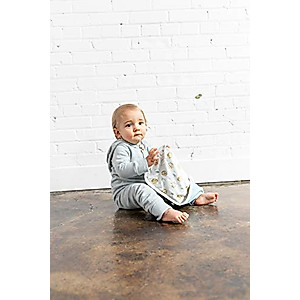 Copper Pearl Baby Security Blanket Set of 2 - Portable Size for Self-Soothing On-The-Go, Ideal Baby Blankets for Boys and Girls, Ultra-Soft, and Gift-Ready Loveys - Chip