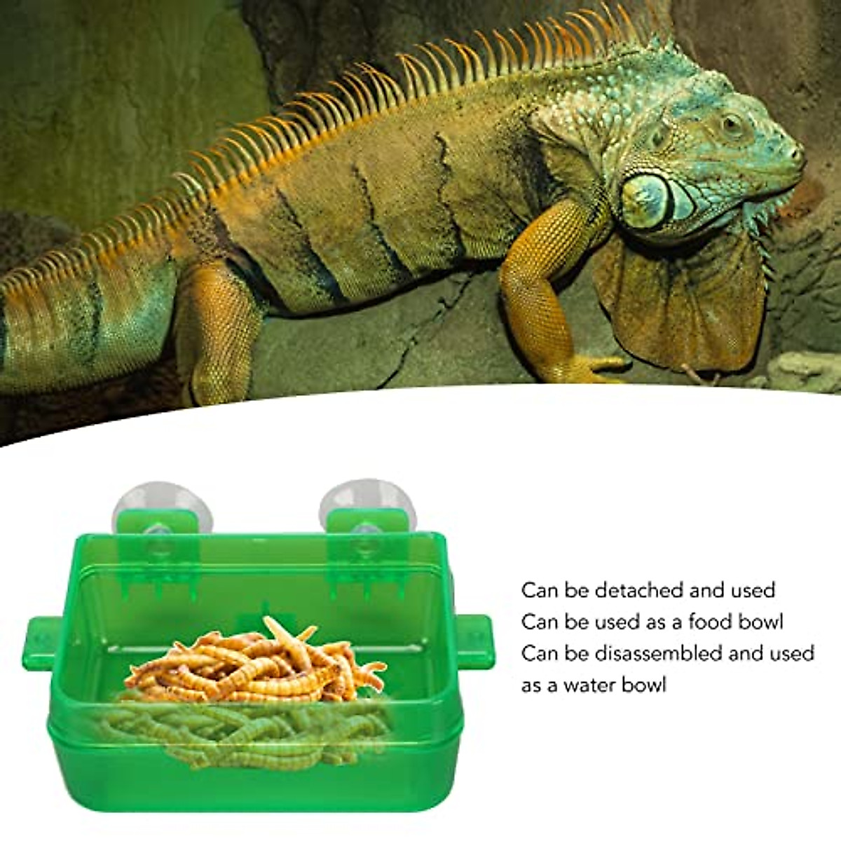 Zerodis Suction Cup Reptile Feeder, Green Wall Reptile Feeder Gecko Lizard Escape Proof Food Water Bowl (S)
