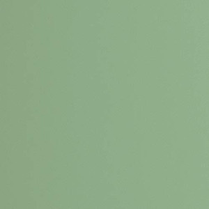 COSCO 11908GRN2E Kids Stool, One-Step, Green, 2