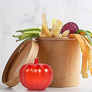 Stingmon 4 Pack Fruit Fly Trap Indoor, Gnat Killer for Kitchen, Fly Trap Catcher for Home, Gnat Traps Indoor