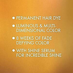 L'Oreal Paris Superior Preference Fade-Defying + Shine Permanent Hair Color, RR-04 Intense Dark Red, Pack of 1, Hair Dye