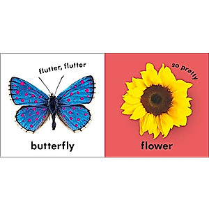 Baby Touch and Feel: First Words