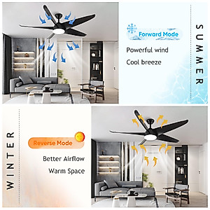 NWIASS 60 Inch Ceiling Fan with Light, Outdoor Ceiling Fan for Patios Waterproof, Black Modern Ceiling Fan with Remote 3 CCT Dimmable Large Airflow, Wet Rated Ceiling Fan for Bedroom Exterior