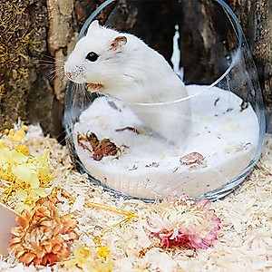 Dnoifne Small Animal Sand-Bath Box, Round Glass Small Pet Sand Bath Box, Sand Bath Shower Room and Sand Bath Container for Rats Hamsters Mice Lemming Gerbils Chinchilla Guinea Pig Hedgehog