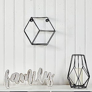 Nearly Natural 10in. Black Matte Hexagon Wall Shelf