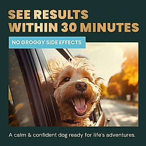 VetriScience Composure Calming Chews for Dogs - Clinically Proven Dog Anxiety Relief Supplement with Colostrum, L-Theanine & Vitamin B1 for Stress, Storms, Separation & More, 120 Count, Chicken Flavor