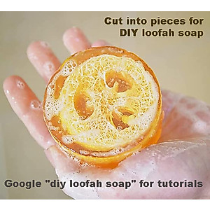 Introduction Price! 2ct Natural Loofah Sponge,Loofah Exfoliating Body Scrubber&Loofa Body Sponge,Shower Sponges for Men/Women,Skin Care,Body Scrub Exfoliator,Kitchen,Cleansing Exfoliating Sponge