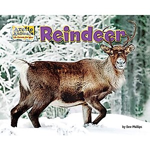 Reindeer (Arctic Animals: Life Outside the Igloo)