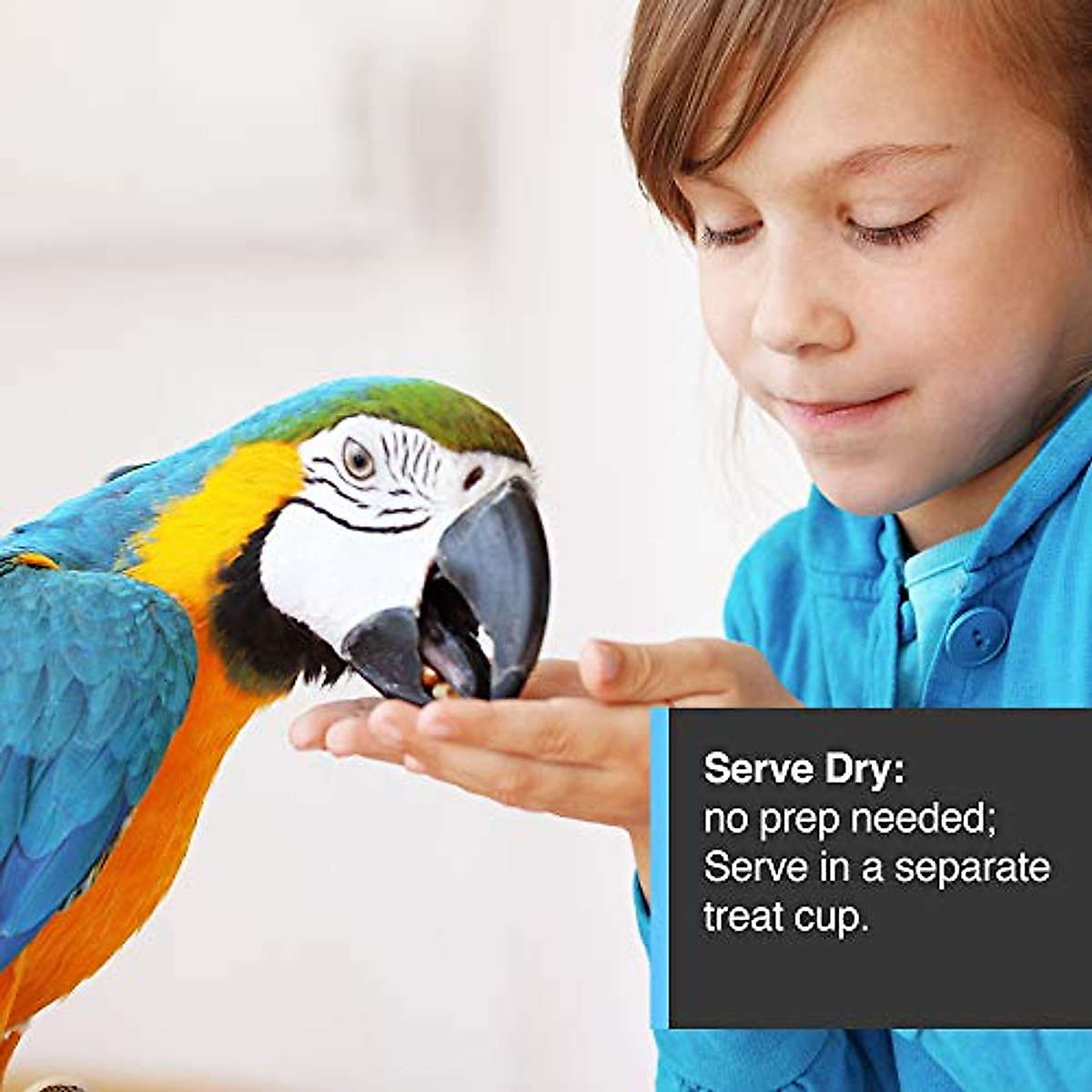 Oyster Shells, 15.5 Ounces