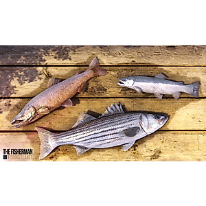 The Fisherman: Fishing Planet (Xb1) - Xbox One