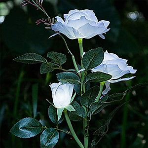 Rose Flower Solar Light, 3 Head White Rose Flower Solar Light Led Decorative Outdoor Lawn Lamp Home Garden Fake Flower Night Light-White