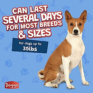 Doggo Dog Chew - Premium Yak Cheese Himalayan Dog Chews - Natural Yak Chews for Large and Small Dogs - Yak Milk Dog Chew - Long-Lasting Treats Aggressive Chewers - X-Large, 1 Pound (3 Pieces)