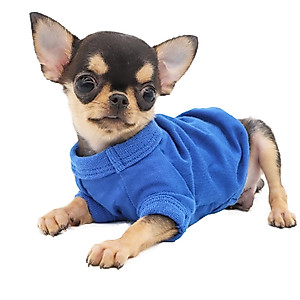 LOPHIPETS 100% Cotton Dog Tee Shirt for Small Dogs Teacup Chihuahua Yorkie Puppy Clothes-Blue/XXS