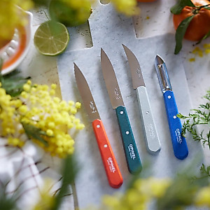 Opinel Les Essentials Small Kitchen 4 Piece Knife Set - Paring Knife, Serrated Knife, Peeler, Vegetable Knife, Corrosion Resistant High Carbon Steel, Made in France (50s)