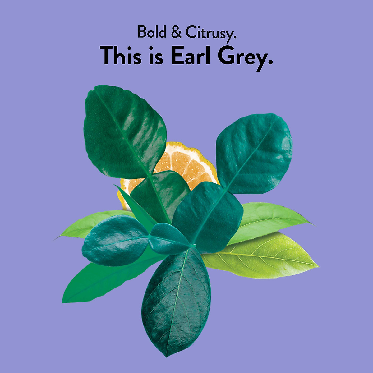 Choice Organics - Organic Earl Grey Tea (6 Pack) - With Bergamot - Fair Trade - Compostable - Contains Caffeine - 96 Organic Black Tea Bags