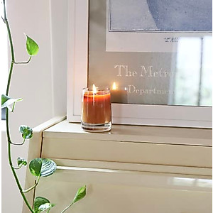 Yield Scarpa Organic Coconut Wax Candle - Palo Santo and Leather Notes - Warm & Woodsy Scented Luxury Candle - Hand Poured in The USA - 50 Hour Burn Time