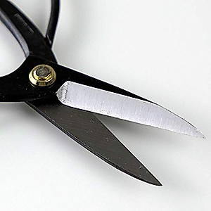 Wazakura Bonsai Pruning Scissors Tool Set Made in Japan, Trimming Japanese Shears Starter Kit Pack - Traditional Bonsai Scissors and Satsuki Trimming Scissors Pack