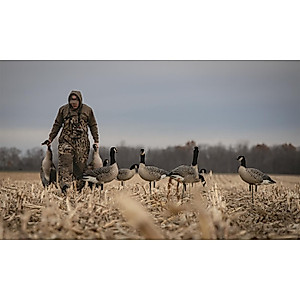 Avian-X AXP Full-Body Honkers Realistic Canadian Goose Hunting Decoys with Collapsible Stands - Fusion Pack of 6