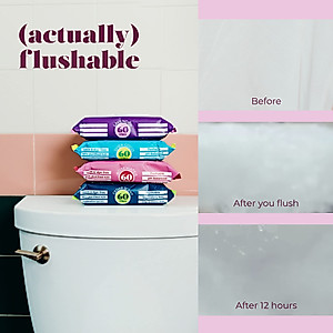 Goodwipes Flushable Butt Wipes Made with Vitamin E & Aloe - Soft & Gentle Wet Wipe Dispenser for Home Use, Septic & Sewer Safe - Largest Adult Toilet Towelettes - Rosewater, 360 Count (6 Packs)