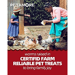 Dried grubs for Chicken -Alternative to Dried mealworms for Chickens-Dried Black Soldier Fly Larvae for Laying hens Backyard Flock Party Poultry, Fowl, Reptiles, Amphibian etc