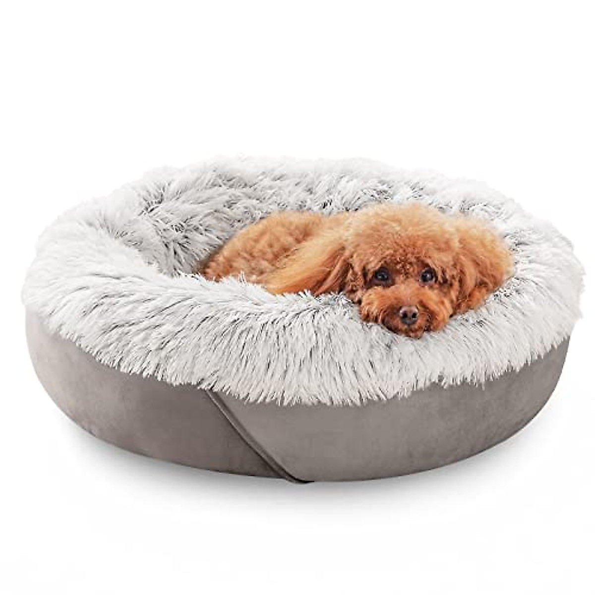 JOEJOY Small Dog Bed & Cat Bed, Anti-Anxiety Puppy Cuddler, Cozy Soft Round Fluffy Plush Pet Bed, Machine Washable, Anti-Slip Bottom (20", Grey)