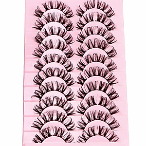 DSLONG 10 Pairs Cluster Lashes D Curl Russian Strip Lashes Fluffy False Eyelashes Individual Natural Wispy Lashes DIY Eyelashes Extension At Home (D01)