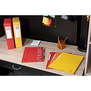 Exacompta - Ref 55515E - Europa Collection - Elasticated 3-Flap Folders - Suitable for A4 Documents, 400gsm Glossy Card - Assorted Colours (Pack of 10)
