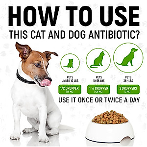 Antibiotic for Cats | Natural Antibiotics for Dogs | Cat Antibiotics | Dog Antibiotic | Antibiotic for Dogs | Natural Antibiotics for Cats | Natural Dietary Supplement Pet Antibiotic | Beef | 2 Oz