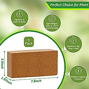Riare 6pcs Organic Coco Coir Bricks Soil Blocks- 100% Natural Compressed Coco Peat Brick Coconut Fiber Substrate with Low EC& pH Balance, High Expansion Coco Coir Pith Coconut Husk for Garden